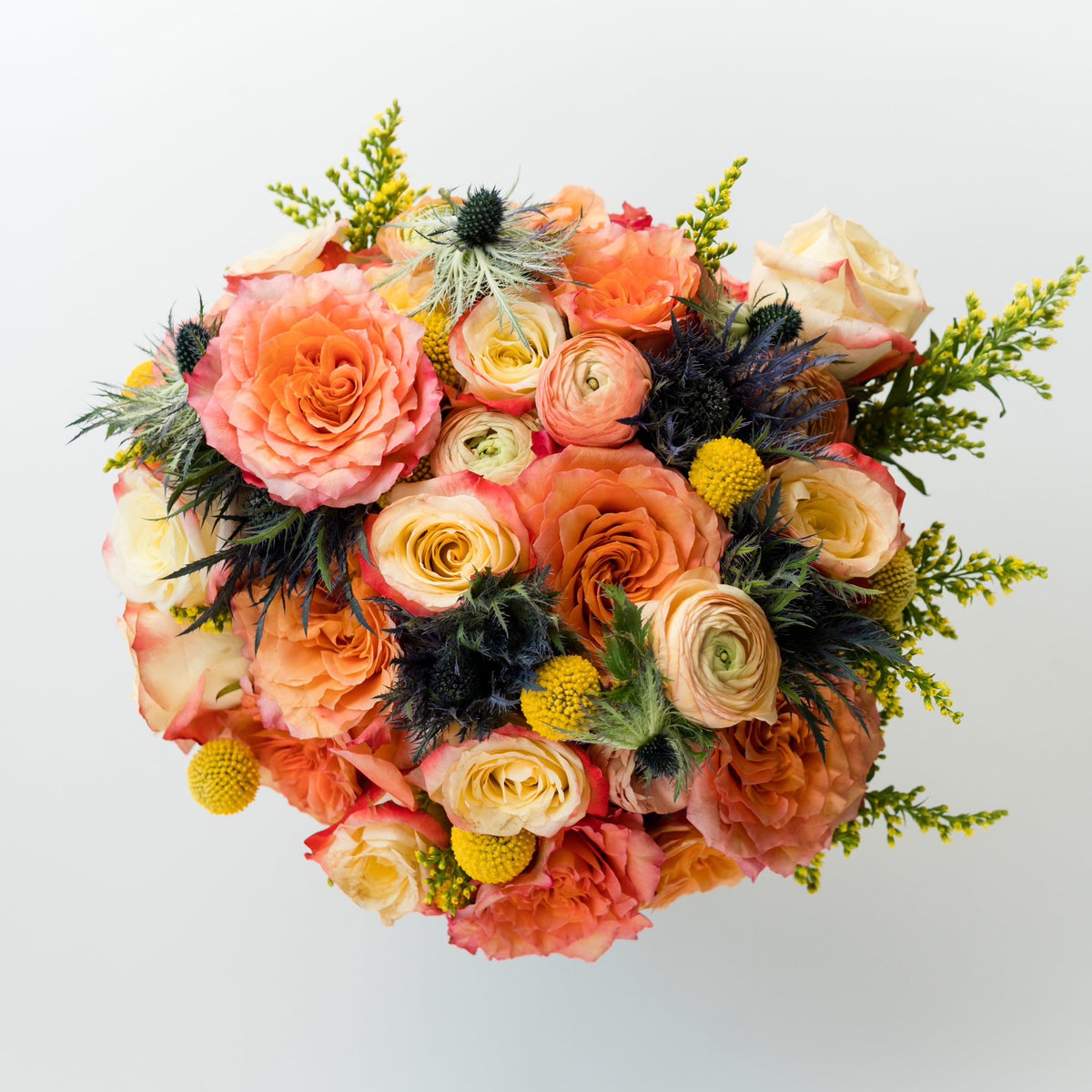 Harvest Moon – Poppy